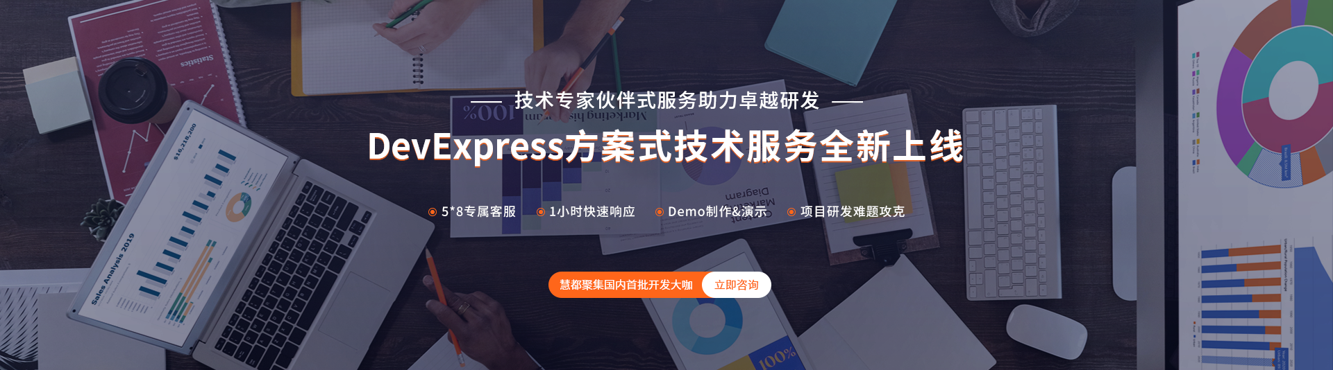 Devexpress控件中文网 Ui控件报表图表net界面控件vcl界面控件winforms界面控件wpf界面控件 